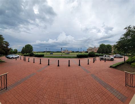 The Lab Labella Has Arrived