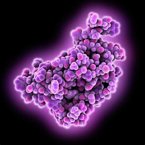 Human Prion Protein 3 Photograph By Science Photo Library Pixels