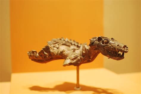 The New Serpent King Vasuki Indicus By Prashant Yadav Fossils Et