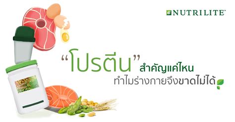 เพราะ โปรตีน เป็นสิ่งสำคัญที่ร่างกายเราขาดไม่ได้ Amwaytoday