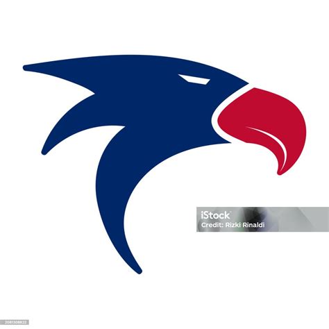아메리칸 이글 호크 팔콘 헤드 에 대 한 스포츠 팀 일러스트 디자인 벡터 갈고리 발톱에 대한 스톡 벡터 아트 및 기타 이미지 갈고리 발톱 군사 권위 Istock
