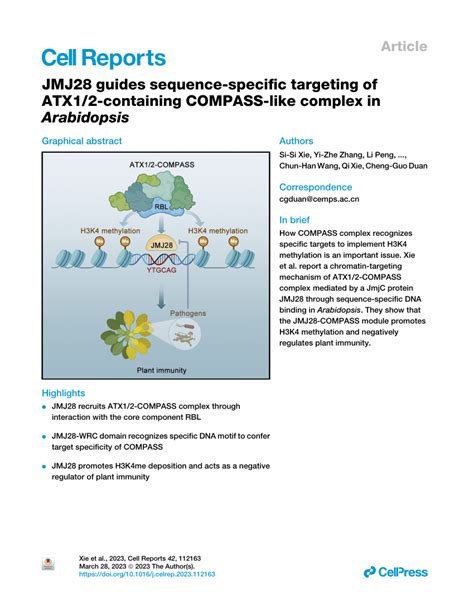 Pdf Jmj28 Guides Sequence Specific Targeting Of Atx12 Containing Compass Like Complex In