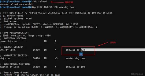 linux：dns域名解析服务 csdn博客
