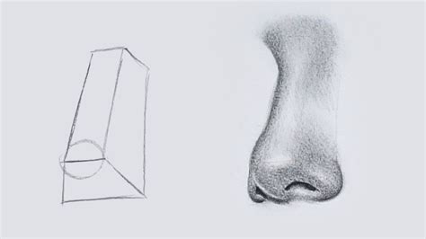How To Draw A Realistic Nose In Easy Steps 54 Off