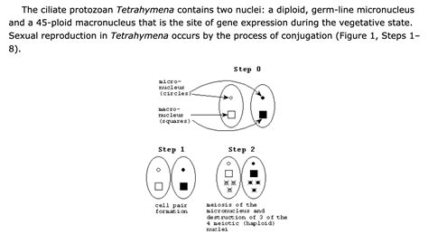 Aamc Biology Pack 25 Macronucleus Vs Micronucleus R Mcat