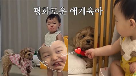 2024 01 육아 브이로그 애개육아 얘들아 사이좋게 지내라 Youtube