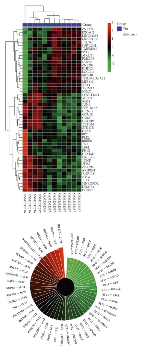 Heatmap For Top 50 Targets Of Representative Gene Modules In Download Scientific Diagram