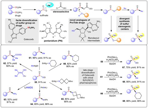 Examples Of Stereocenter In Chemistry And Drug Design