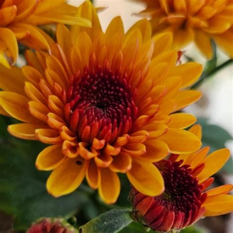 Explore With Shipa Youtube