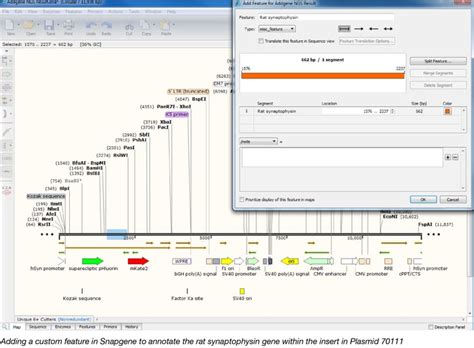Plasmids 101 Walkthrough Of Addgenes Snapgene Powered Quality Control Process
