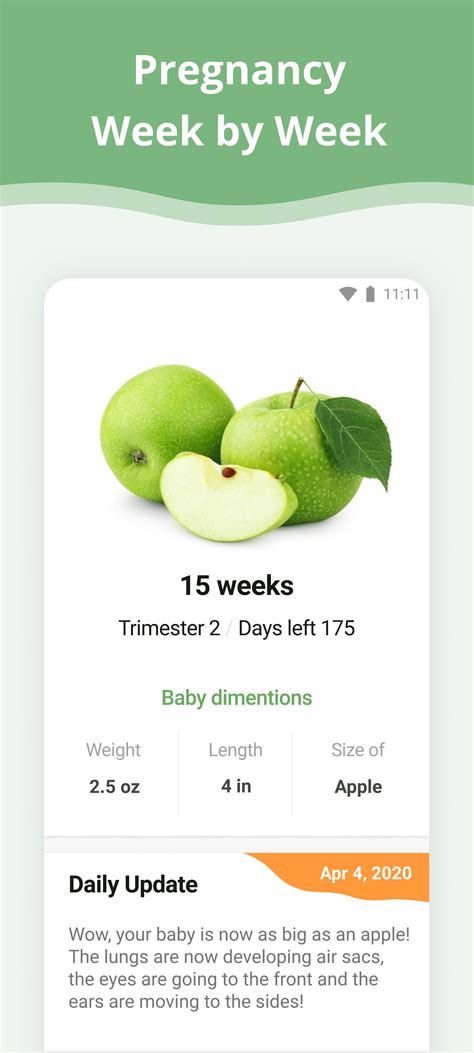 Pregnancy Apk Download For Android Latest Version