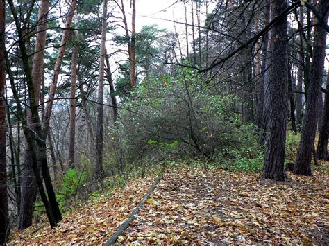 Усадьба Архангельское. : eisa_ru — LiveJournal