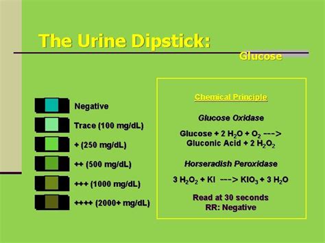 Chemical Analysis Of Urine Drmohamed Mahmoud Nour Eldein