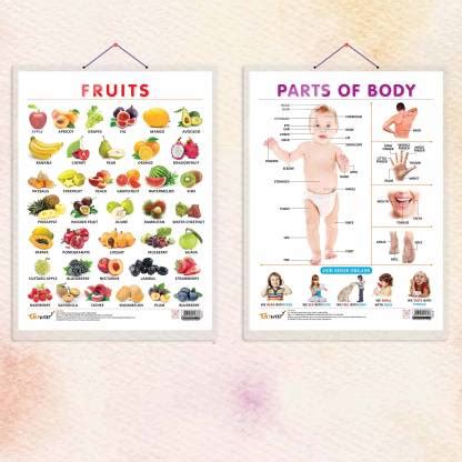Fruits Chart Hard Laminated And Parts Of Body Chart Hard Laminated