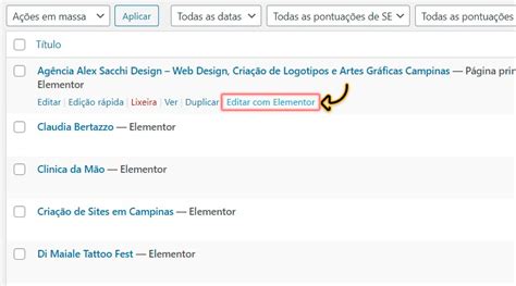 Editar Site Com Elementor Wordpress Agência Sacchi Design