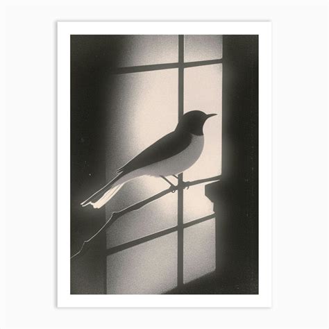 Bird In The Window 1 Art Print By Thatworksmedia Fy