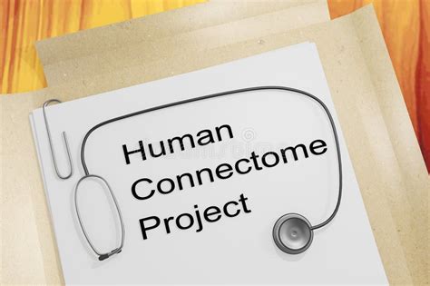 Human Connectome Project Concept Stock Illustration Illustration Of