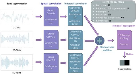 Frontiers Exploring Eeg Based Motor Imagery Decoding A Dual Approach Using Spatial Features