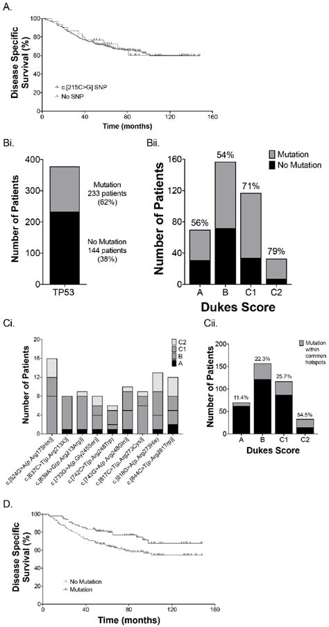 Mutational Analysis Of The Tp53 Gene N 389 A Disease Specific