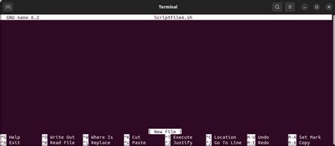 Understanding Chmod X Making Files Executable Linuxways