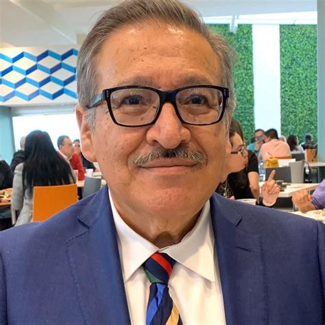 Hierba Del Sapo Cuáles Son Sus Beneficios Según Expertos Infobae