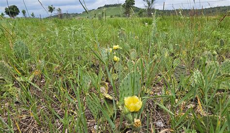 Embolden Wi Be Sure To Place Your Order For The Awesome Good Night