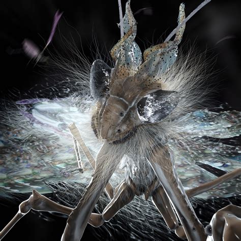 Diffraction Grating Dj Mantis Song Lyrics Music Videos And Concerts