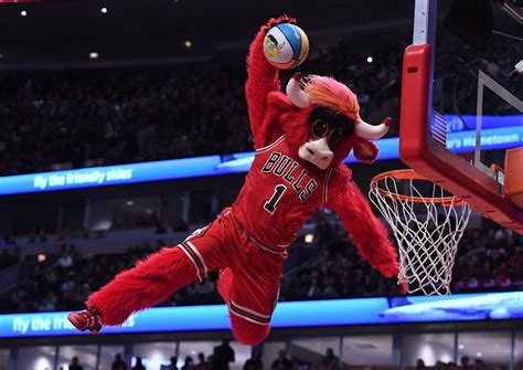 Chicago Bulls