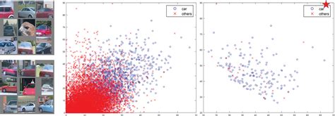 understanding convolutional neural networks via discriminant feature