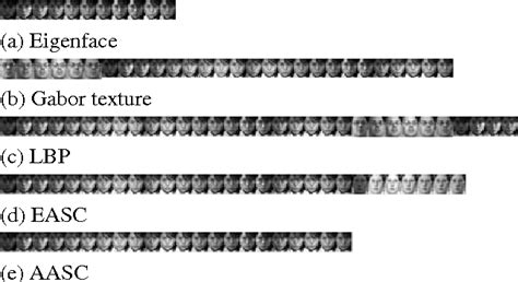 Table 1 From Affinity Aggregation For Spectral Clustering Semantic
