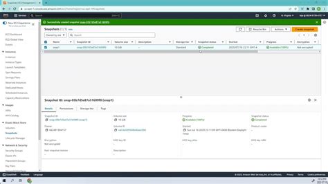Comprehensive Guide To Amazon Ebs Snapshotscreating And Deleting
