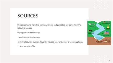 Microbial Pollution Sources Impacts And Methods Of Control Pptx