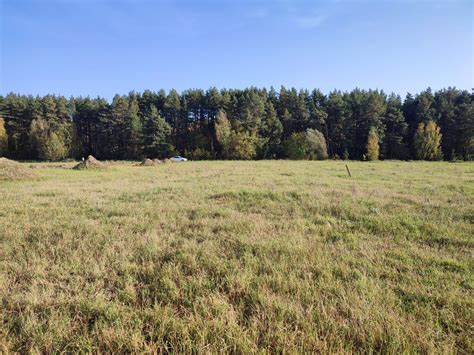 Земли сельхозназначения Московская область Раменский городской округ село Загорново Советская