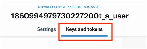 How To Create X Developer Account And Generate Api Keys Tweetahead