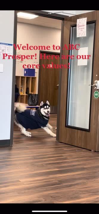 Amy Brown Ms Bcba Lba Posted On Linkedin