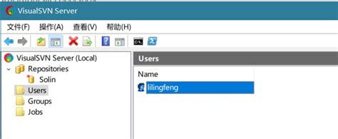 使用visualsvn Server搭建svnserver （windows环境为例） 水狼一族 博客园