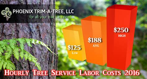 Tree Service Costs 2021 Estimates And Average Cost