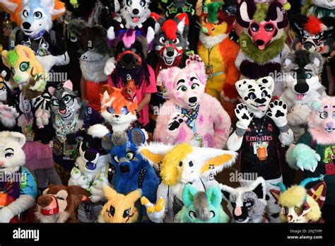 Furries Pose For The Annual Fursuit Group Photo At The Anthrocon