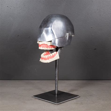 Mid Century Dental Phantom Head Model On Custom Stand C1960s S16 Home