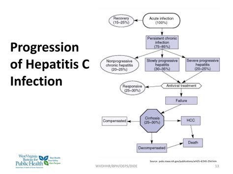 Ppt Hepatitis C An Overview Powerpoint Presentation Free Download Id 4007718
