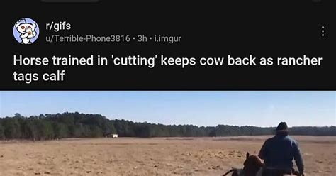 Hunting For Sort Button On Reddit Album On Imgur