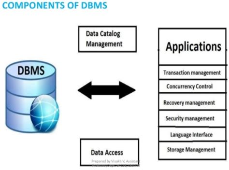 DBMS Principles For Dummies Online Babe Of Business And IT