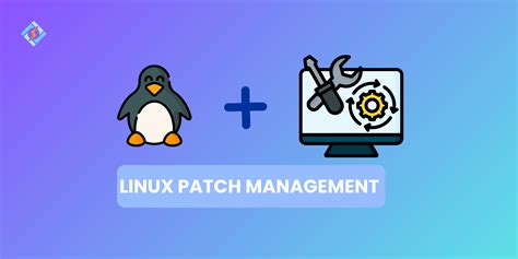 Linux Patch Management Latest Strategies For New Admins