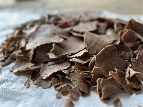 Groundnut Seed Cake At Rs 40 Kg ग्राउन्डनट केक In Nagpur Id 26831074233