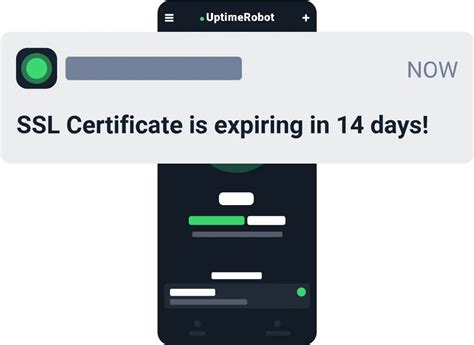 Uptimerobot Ensuring Your Websites Uptime