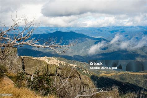 마운트 버팔로 국립 공원 빅토리아 오스트레일리아 더 혼 피크닉 지역에서 바라보는 호주 알프스 전망 산과 구름의 경치 좋은 전망 0명에 대한 스톡 사진 및 기타 이미지