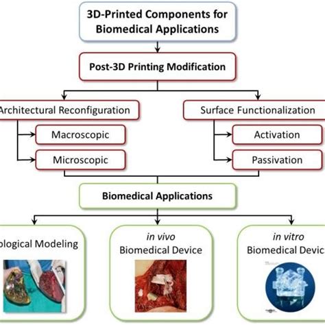 Schematics Of Polydopamine Mediated Surface Functionalization Download Scientific Diagram