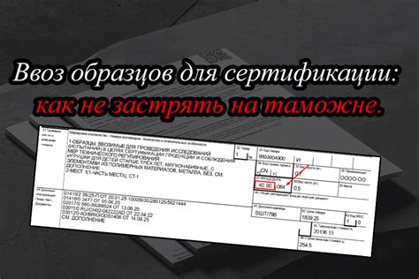 Ввоз образцов для сертификации как не застрять на таможне
