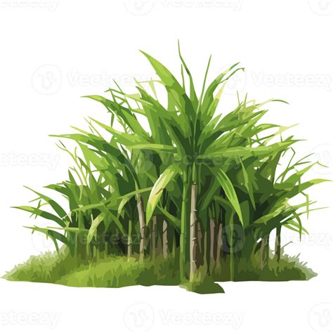 A Cartoon Illustration Of A Field Of Tall Grass 49026993 Png