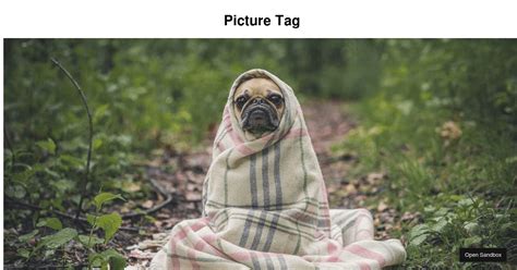 Image Vs Picture Tag Codesandbox